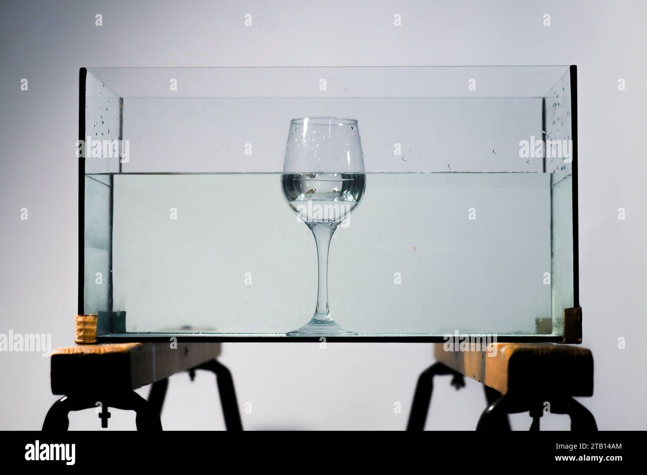 Empty fish tank hi-res stock photography and images - Alamy