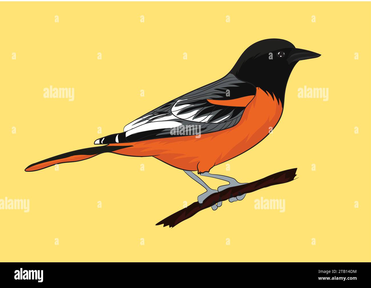 United north america vector logo hi-res stock photography and images ...