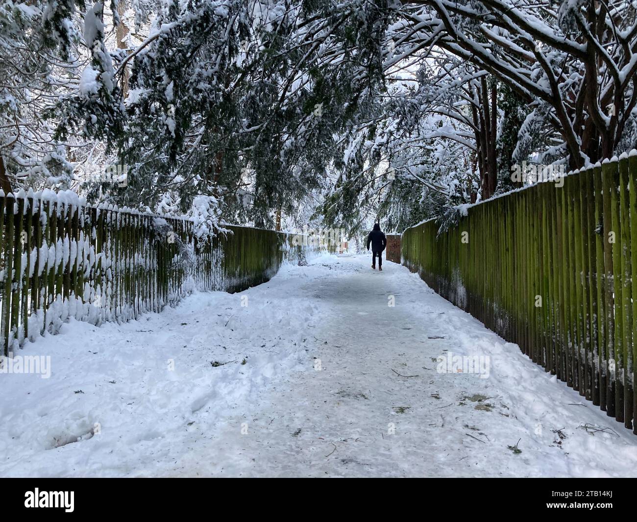 Dachau, Germany. 04th Dec, 2023. A person walks on a path covered in ...