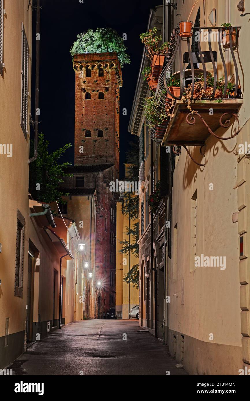 Lucca, Tuscany, Italy: night view of the medieval Guinigi Tower, with ...