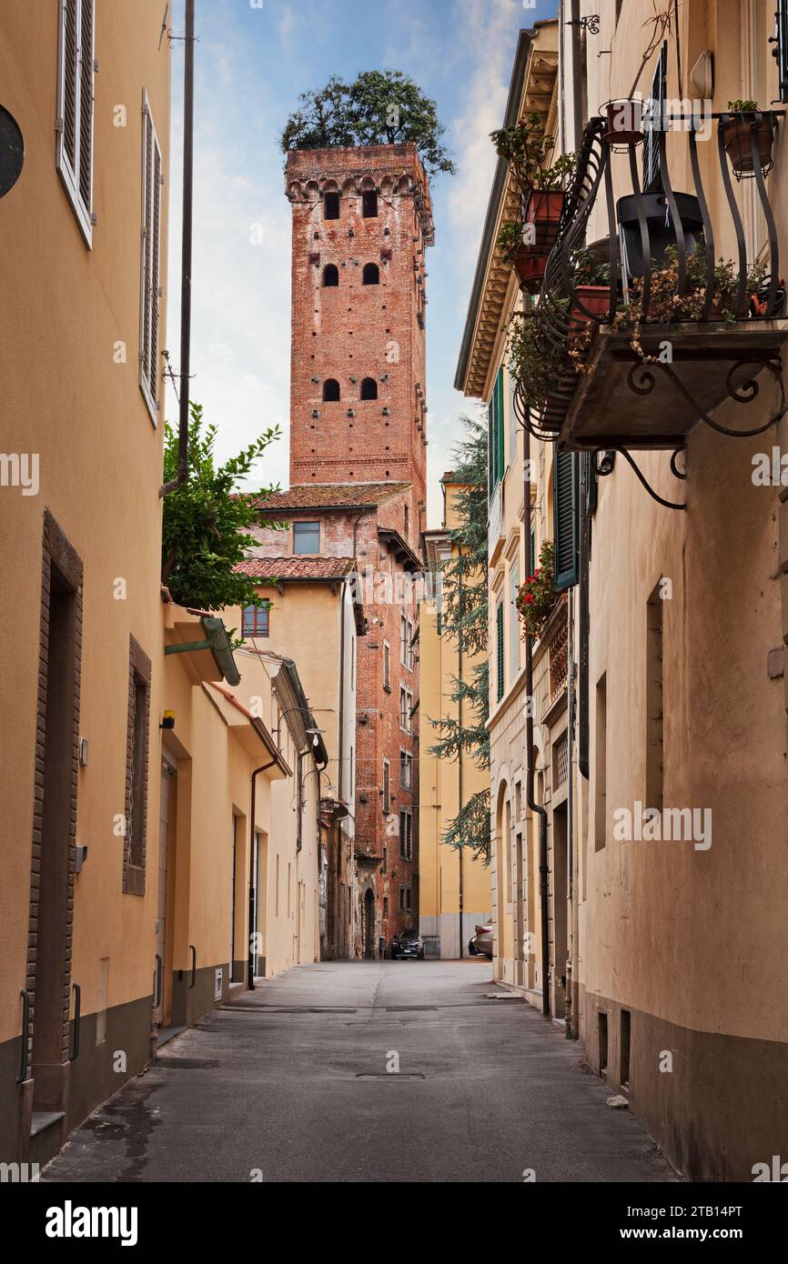 Lucca, Tuscany, Italy: view of the medieval Guinigi Tower, with the ...