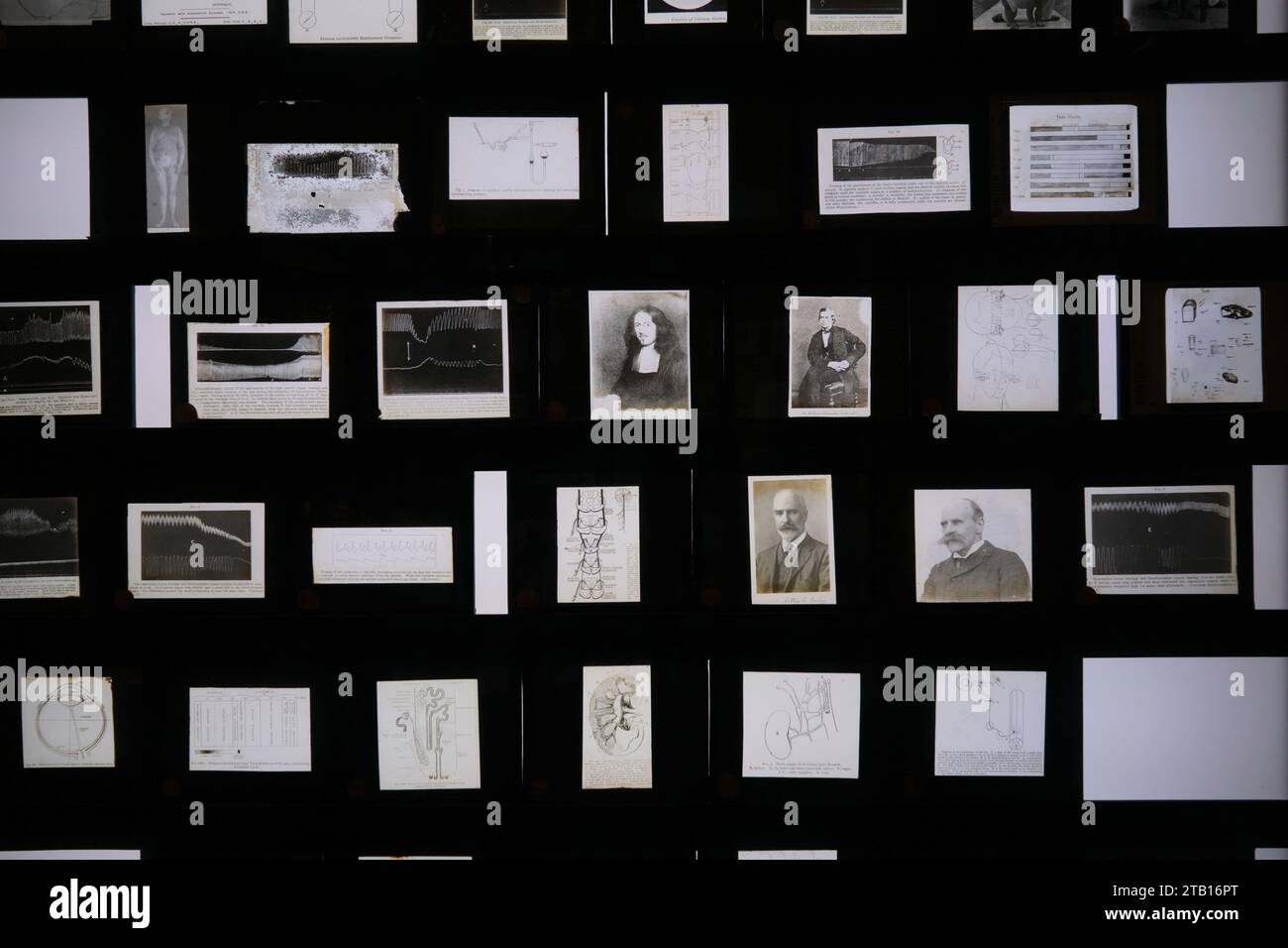 Detail of a series of small photographs depicting old doctors, drawings ...