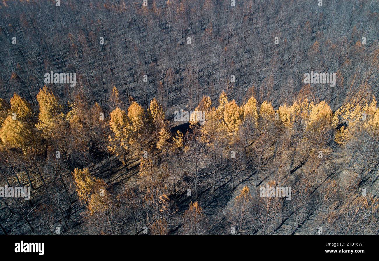 Bushfire aerial hi-res stock photography and images - Alamy
