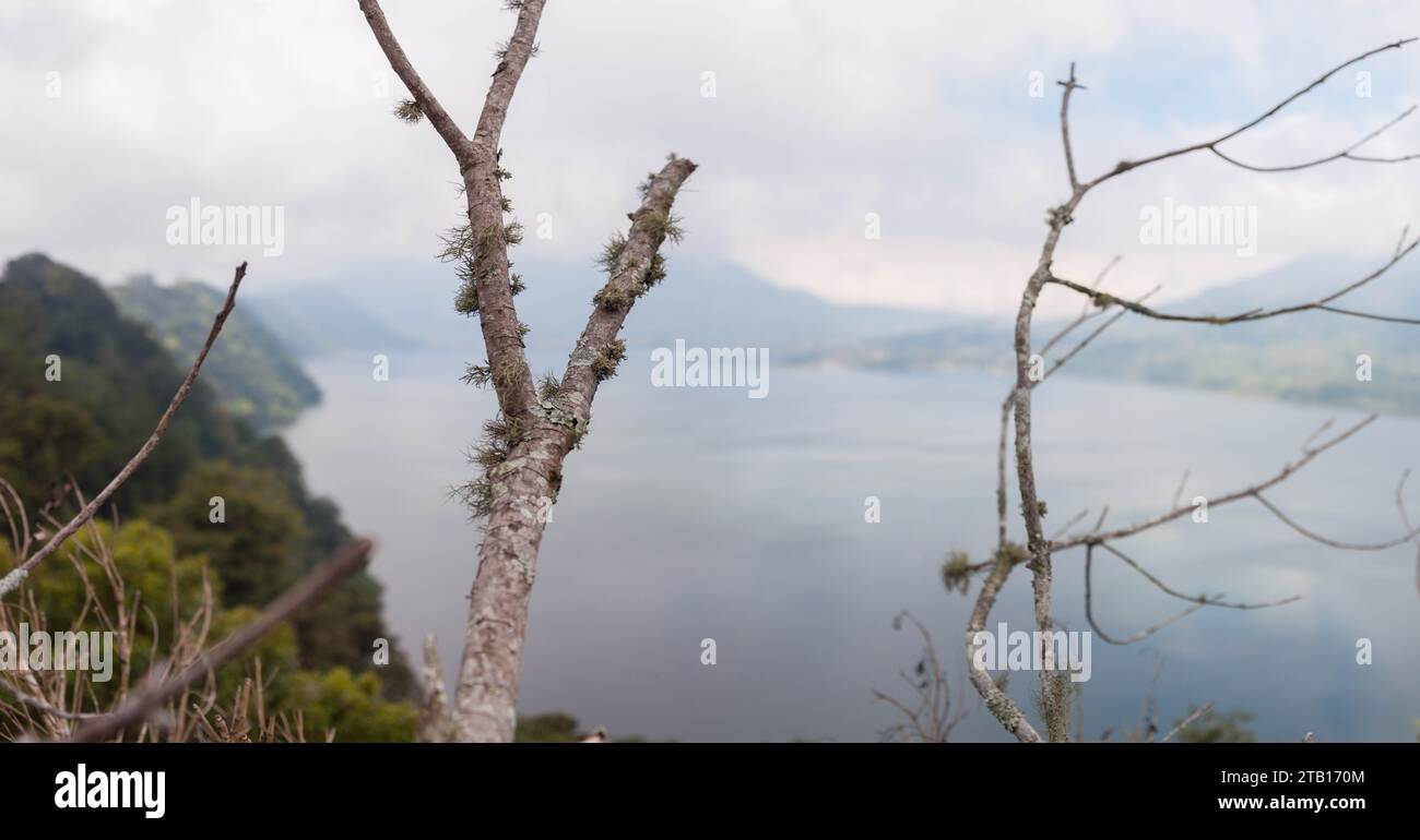 Tree branch with hill & river background Stock Photo - Alamy
