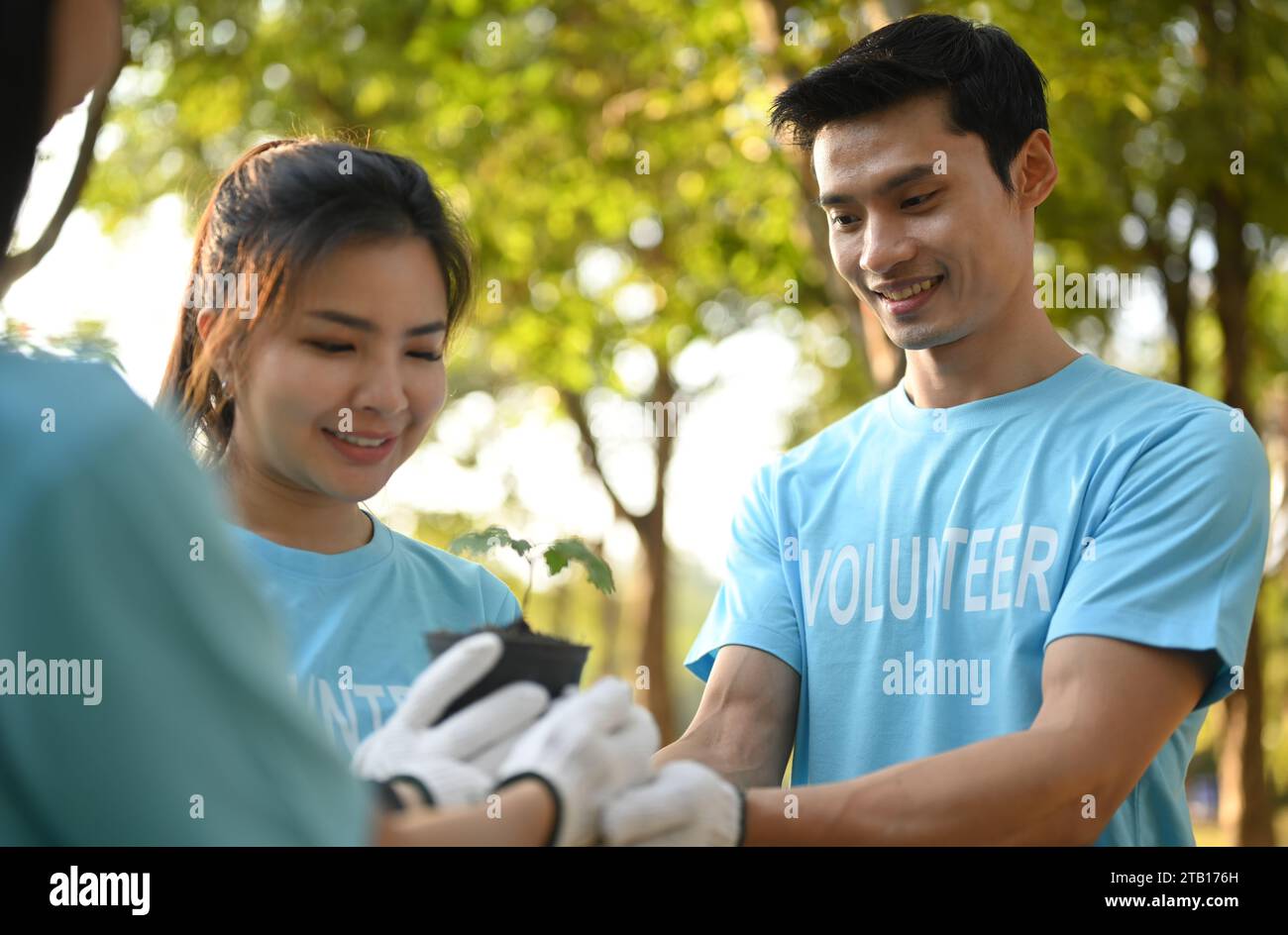 Team of young volunteer worker planting tree in public park. Charity ...