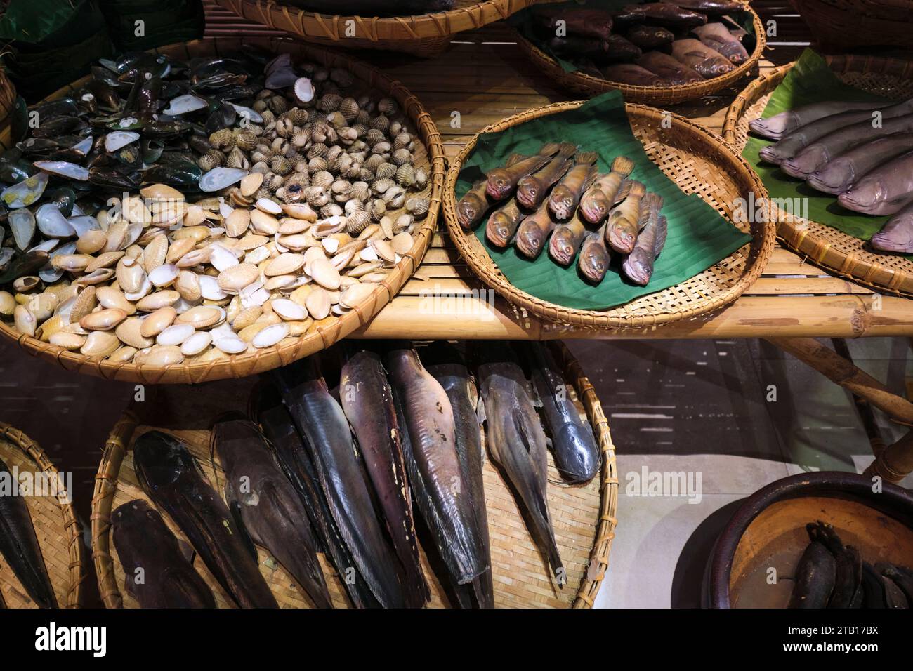 A recreation with fake, plastic fish, clams, seafood, typically sold at ...