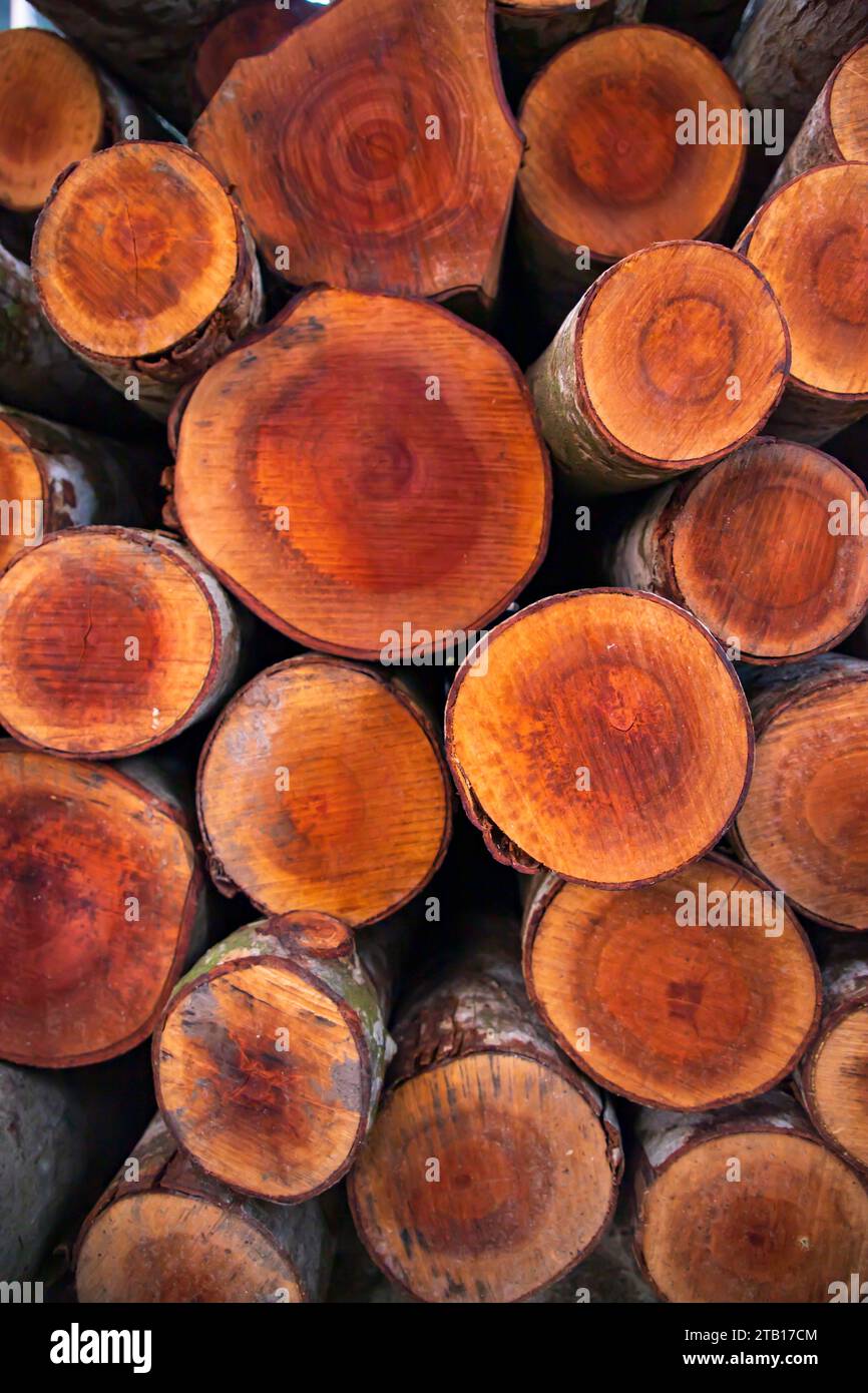 Stacked pile wood logs abstract pattern texture Can be used as a ...