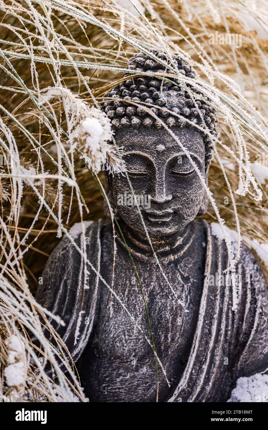 Striking Buddha figure with face and upper body between ornamental ...