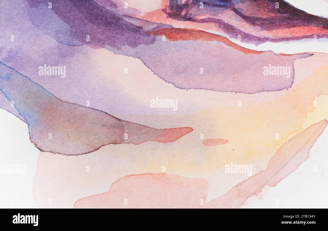 painted in watercolor on a white background. Hand painted watercolor ...