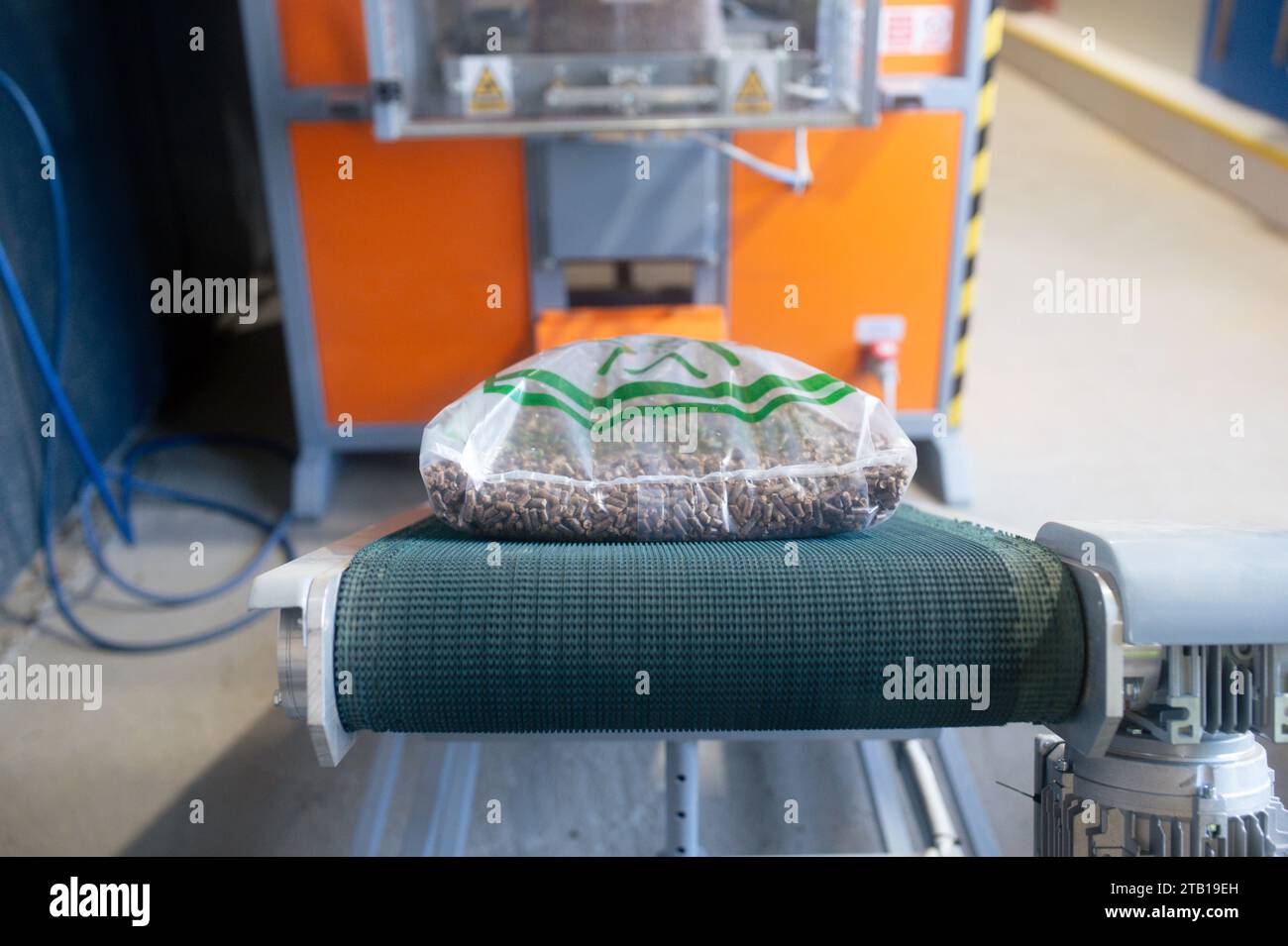 Wood pellet production machine in factory, pellet manufacturing in wood ...