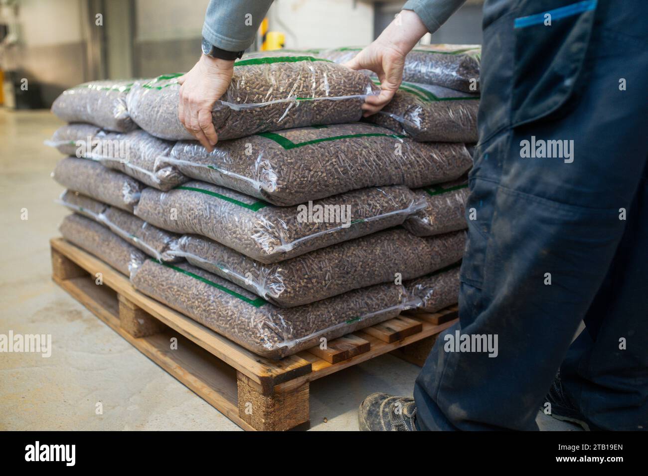 Bags with wood pellets, pellet fuels manufactured in wood pellet line ...