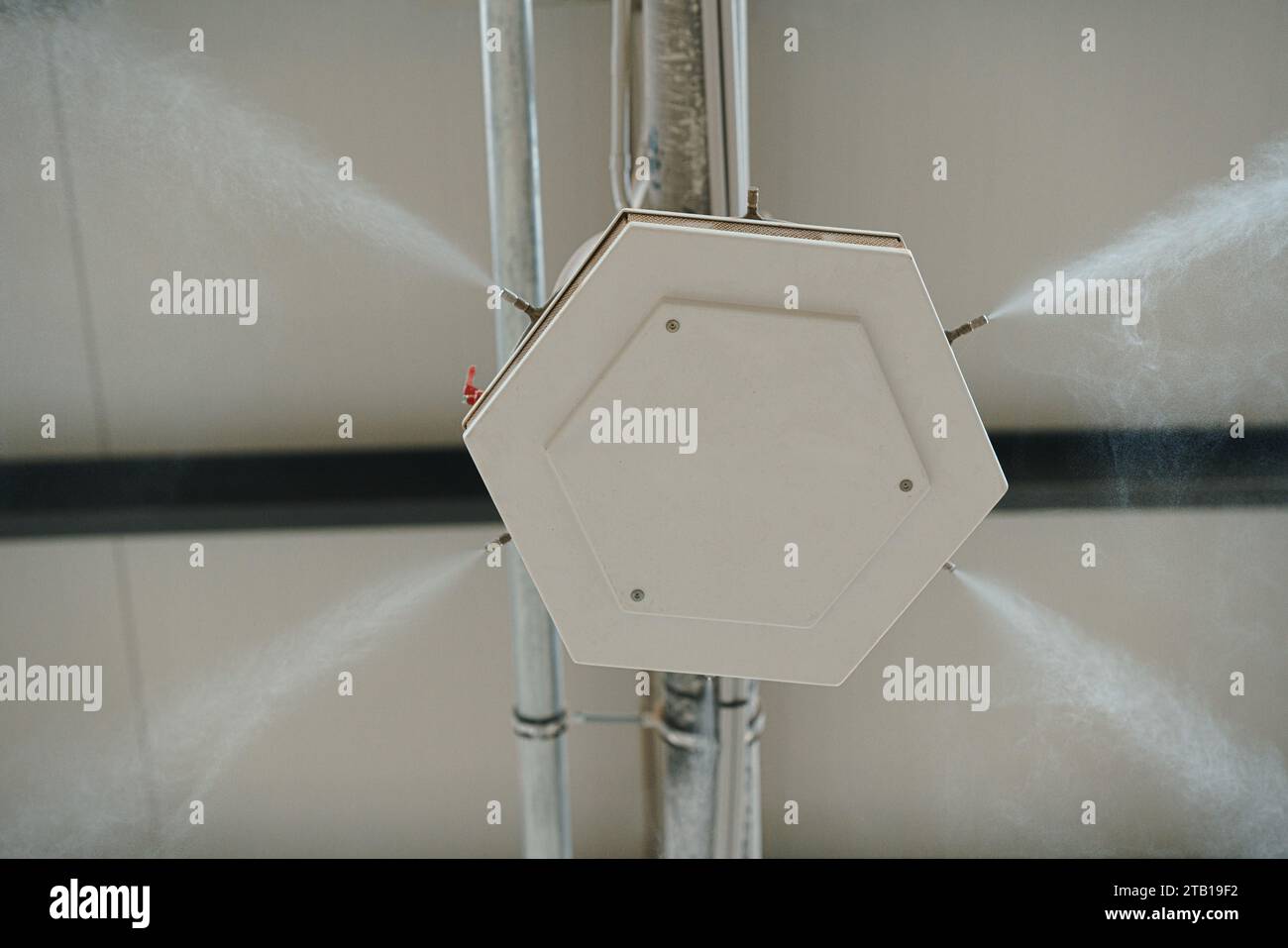 Dust particles floating in the air hi-res stock photography and images ...