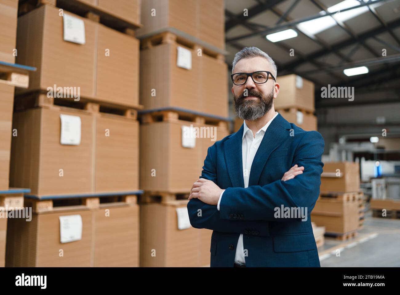 Warehouse manager, logistics employee in warehouse, planning transport ...