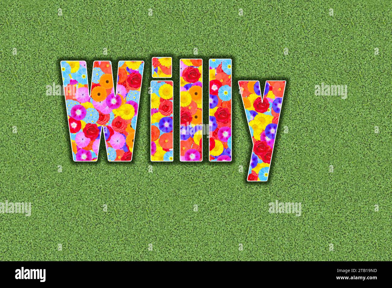 nickname willy written with flowers, Illustration, flowers pattern ...