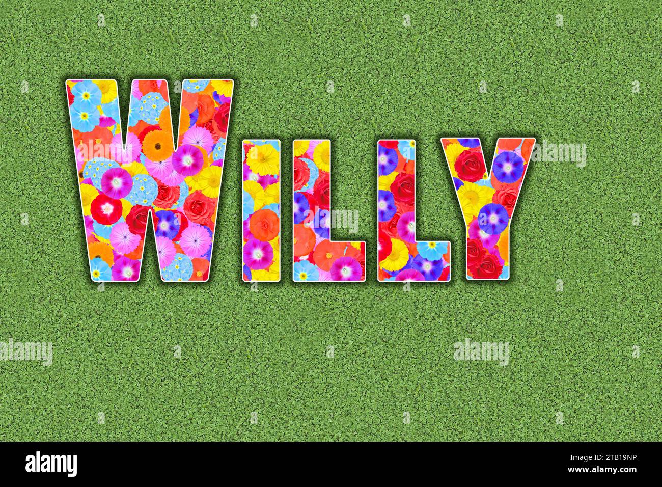 nickname willy written with flowers, Illustration, flowers pattern ...