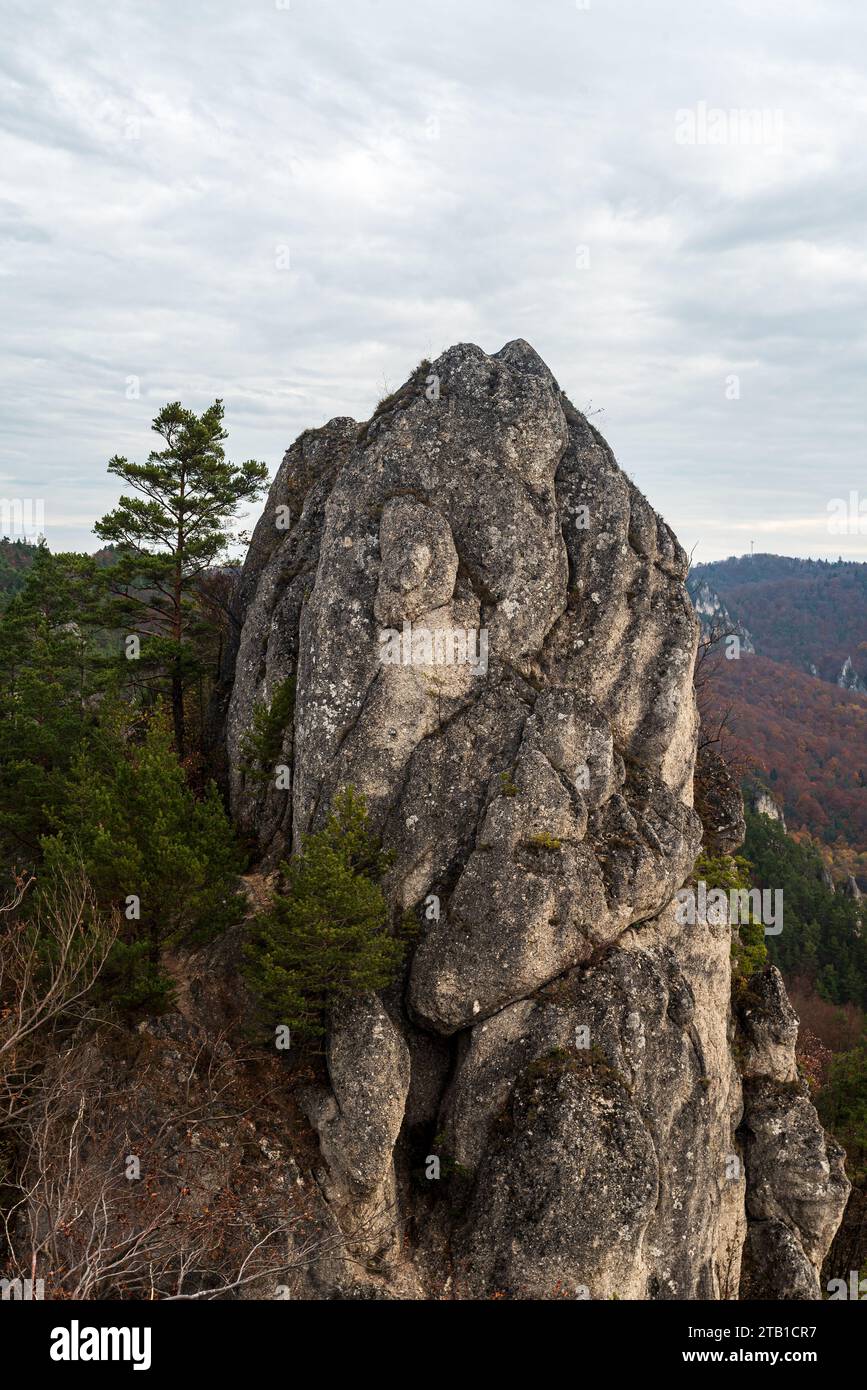 View from Sulovsky hrad castle ruins in Sulovske skaly mountains in ...
