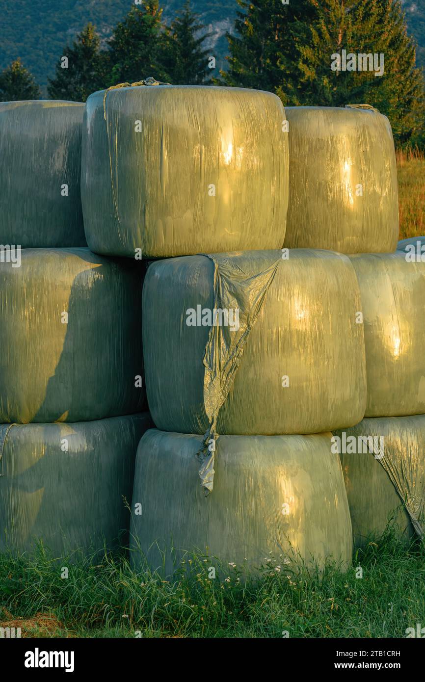 Wrapped bale hi-res stock photography and images - Alamy