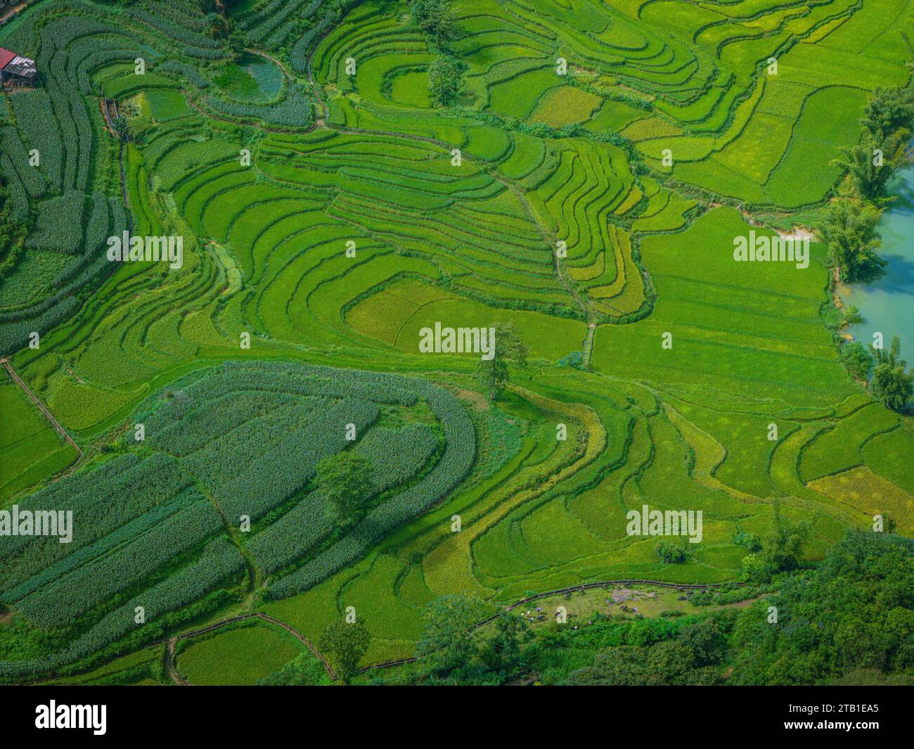 Aerial landscape in Quay Son river, Trung Khanh, Cao Bang, Vietnam with ...