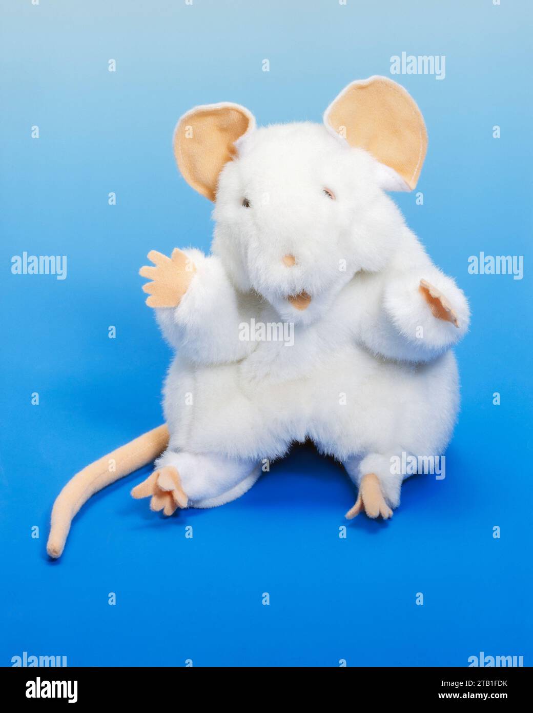 Stuffed white toy mouse in blue gradient back Stock Photo - Alamy