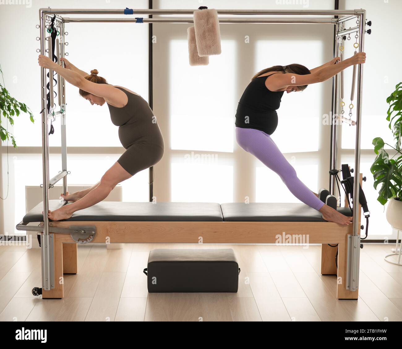 Two pregnant women are doing Pilates on a Cadillac reformer Stock Photo ...