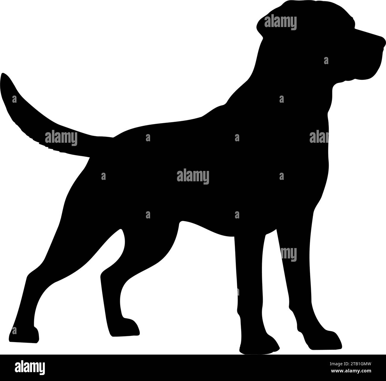 Labrador retriever Dog silhouette. Vector illustration Stock Vector ...