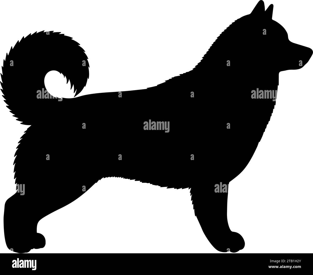 Husky dog silhouette Cut Out Stock Images & Pictures - Alamy