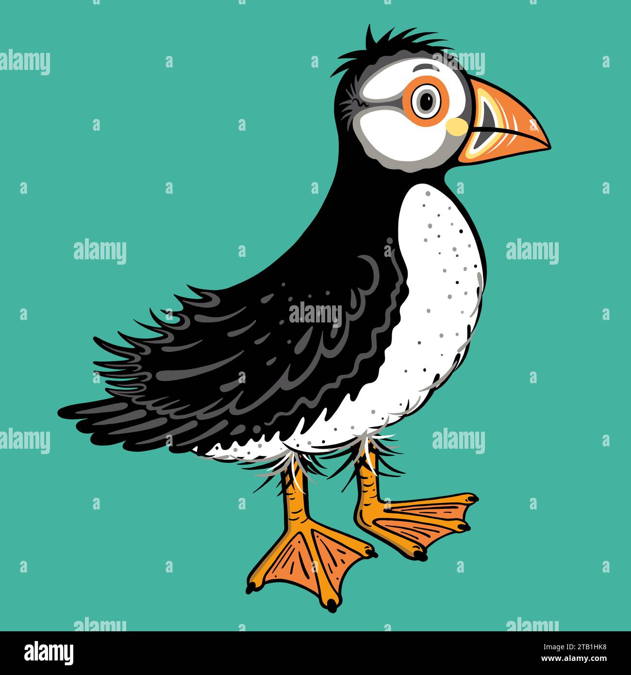 Cute puffin illustration. Atlantic puffin design with a colourful bold ...