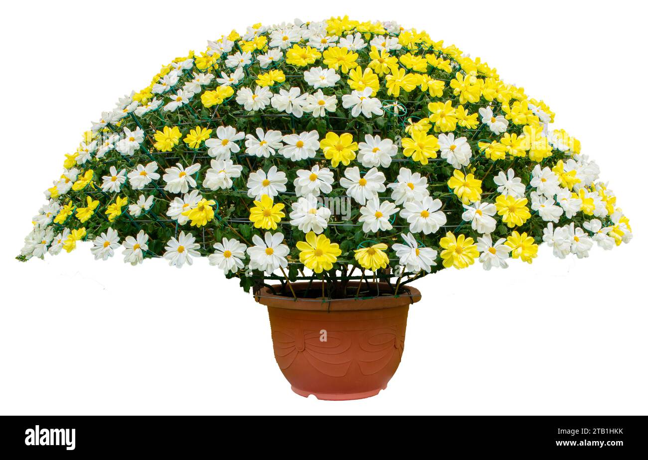 Taipei pattern hi-res stock photography and images - Alamy