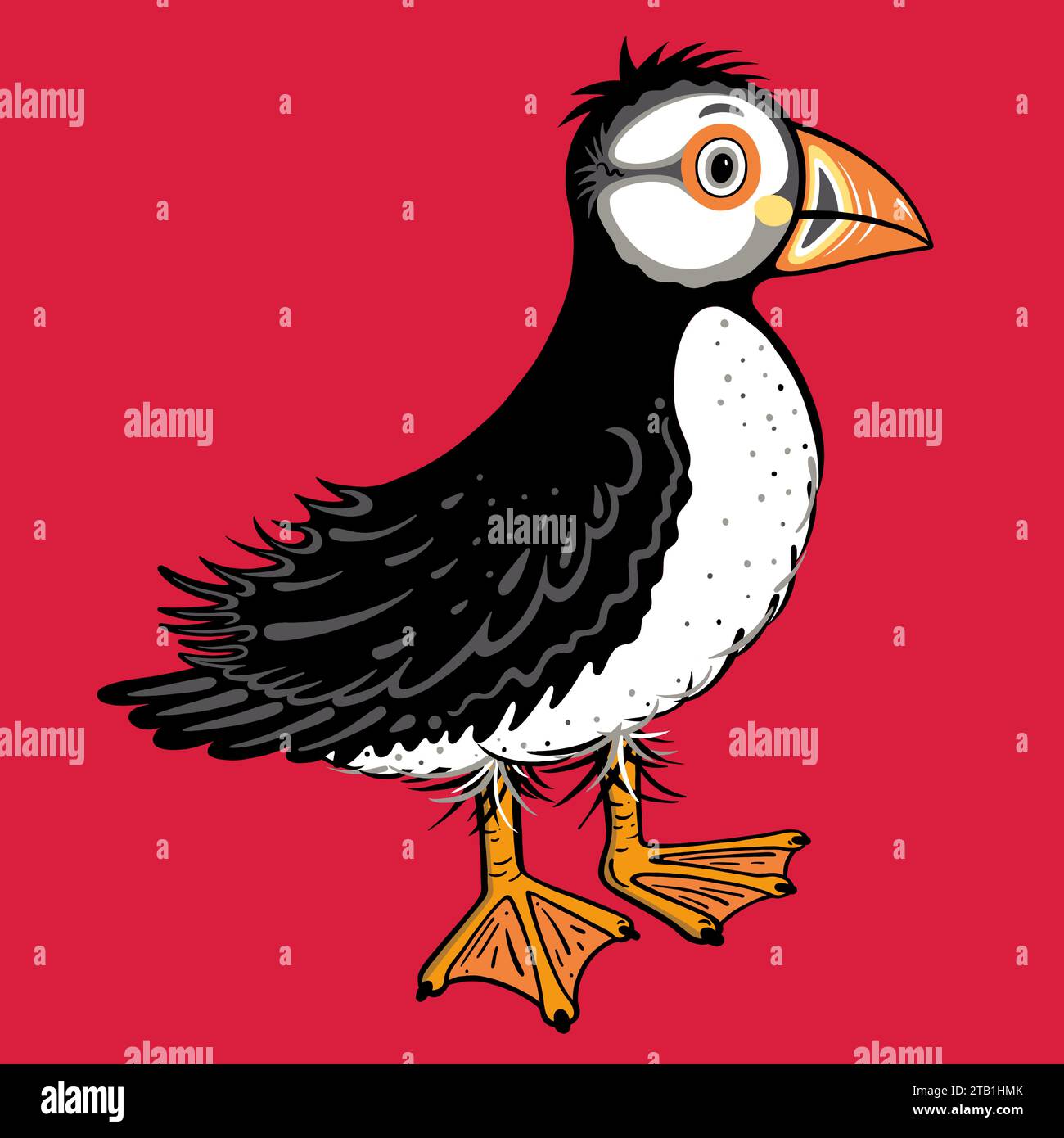 Cute puffin illustration. Atlantic puffin design with a colourful bold ...