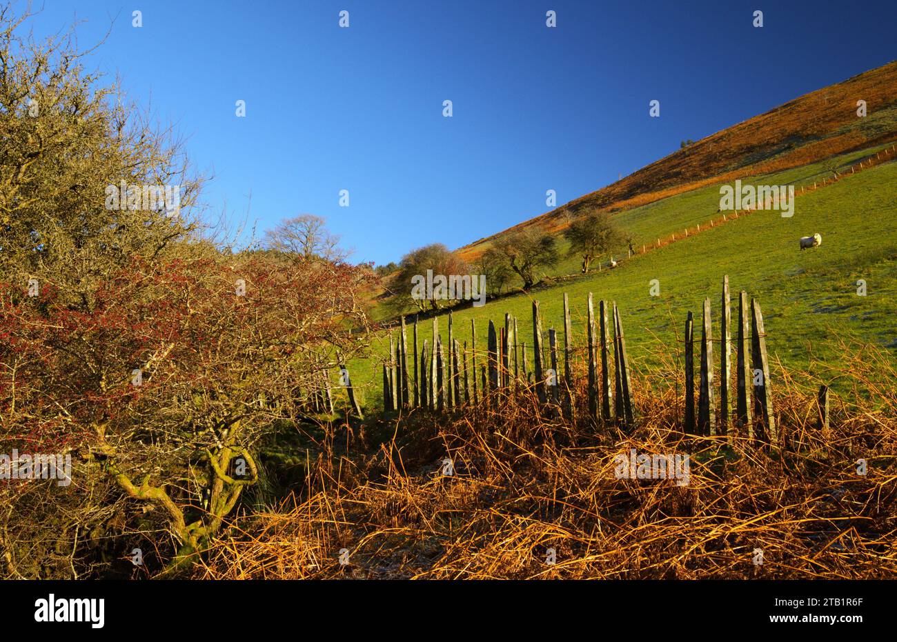 Ratgoed valley landscape hi-res stock photography and images - Alamy