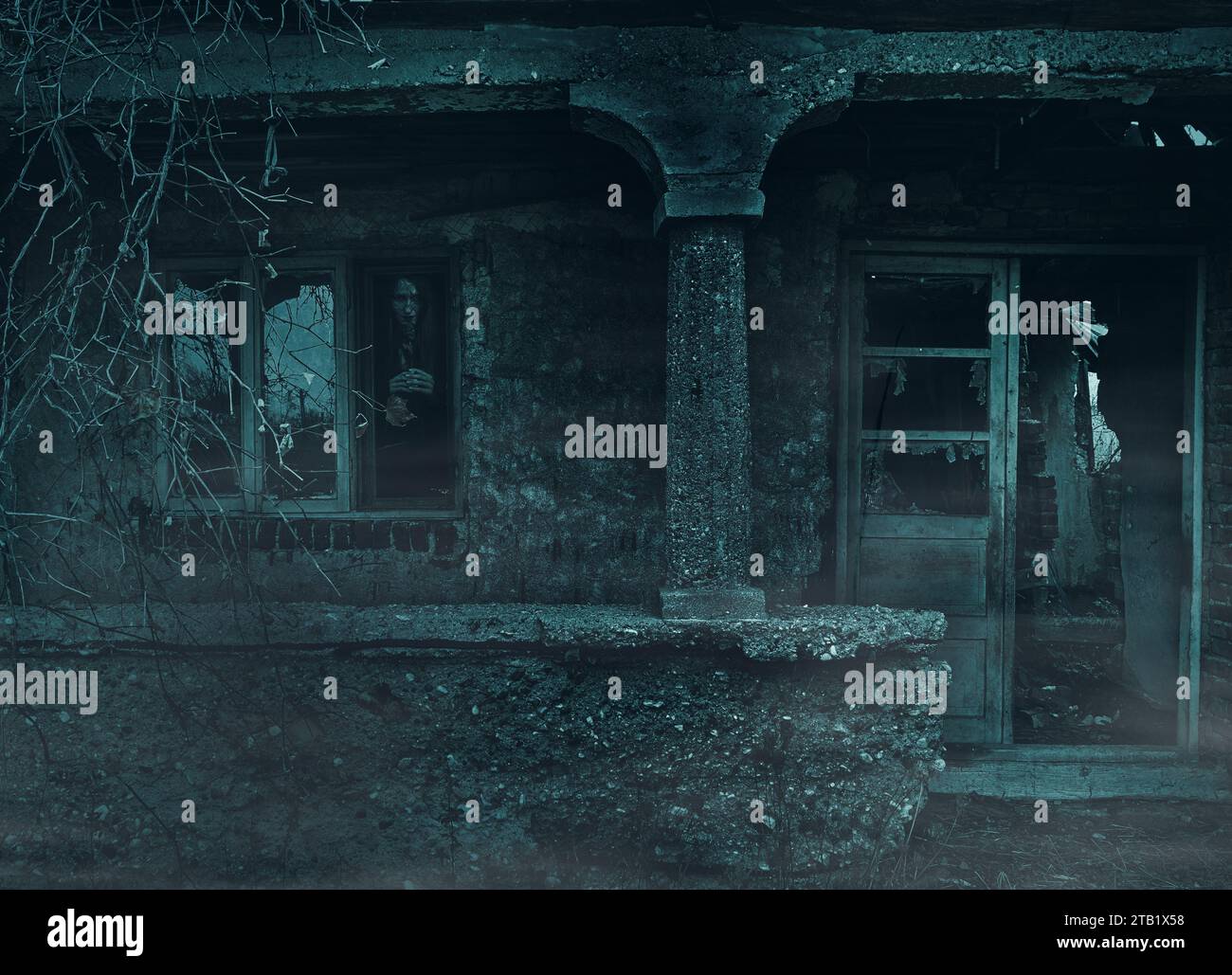 The ghost of a woman as a widow, holding a black rose in the window of ...