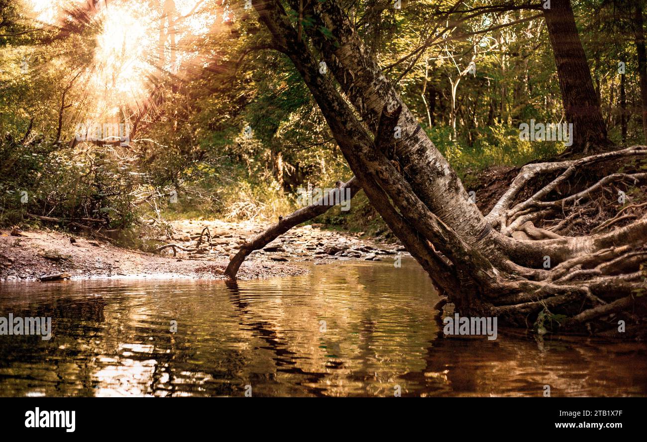 Waterfall cascade flow water creek hi-res stock photography and images ...