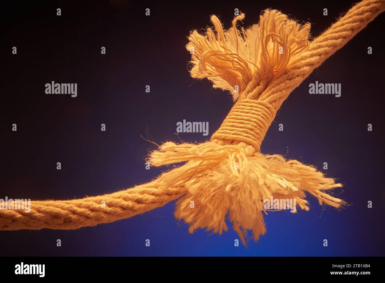 Whipped together hi-res stock photography and images - Alamy