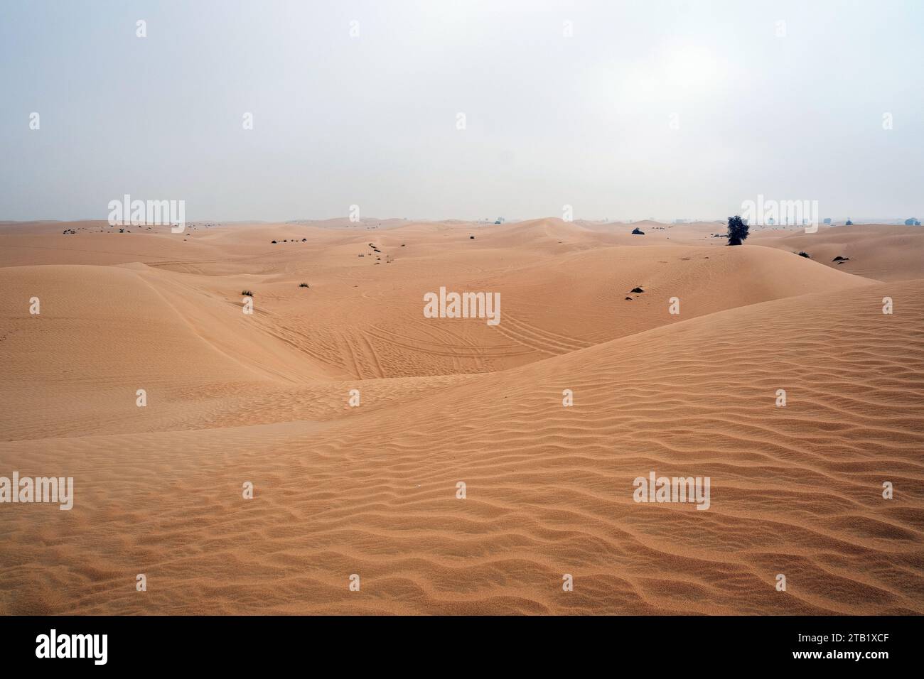 Al Qudra empty quarter seamless desert sahara in Dubai UAE middle east ...