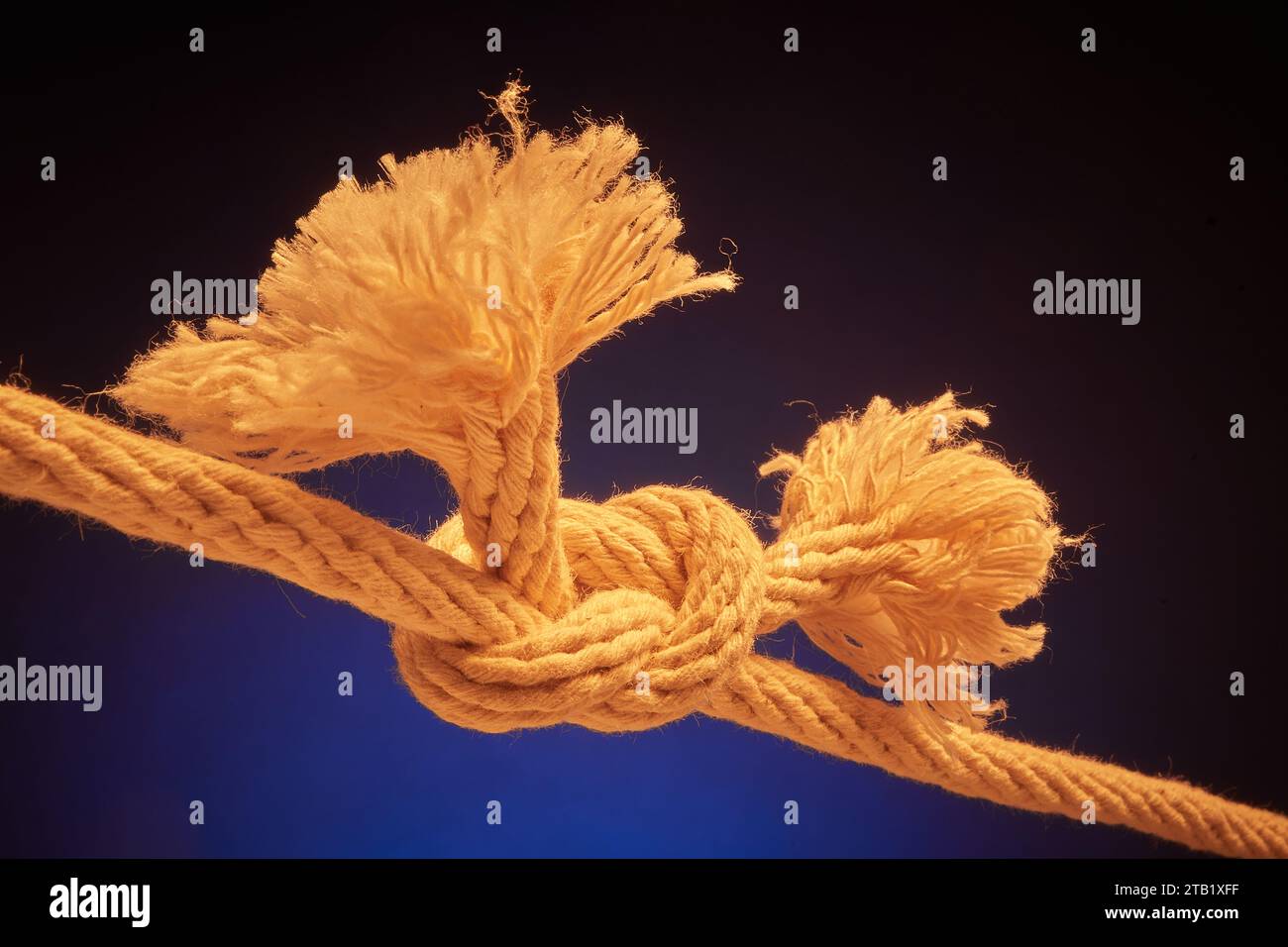 Intertwined rope hi-res stock photography and images - Alamy