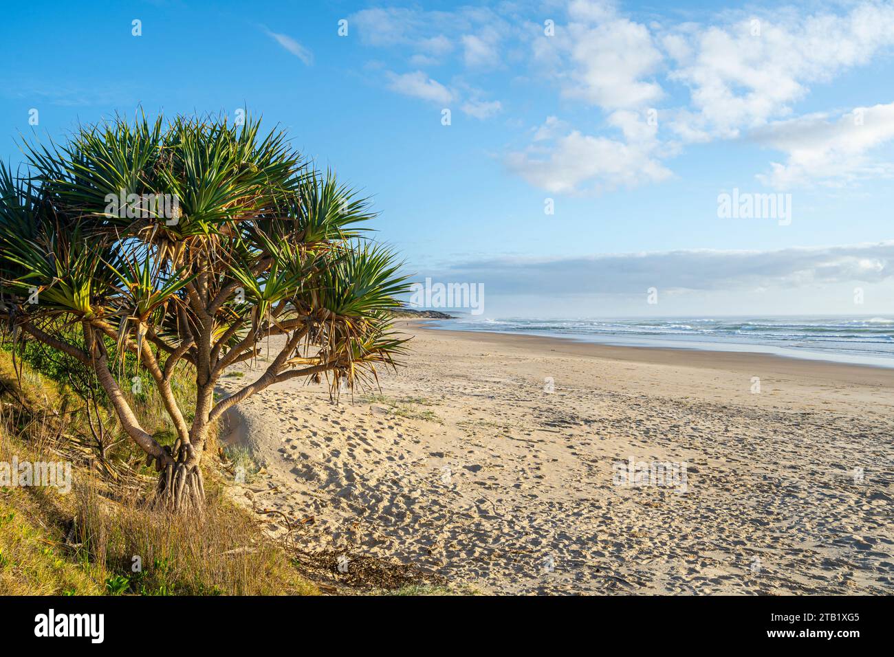 Plumbago Beach, Red Cliff - Lake Arragan, Yuraygir National Park NSW ...