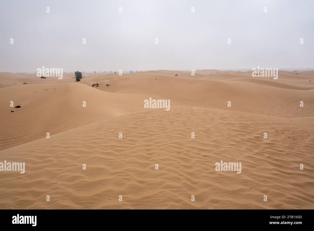 Al Qudra empty quarter seamless desert sahara in Dubai UAE middle east ...