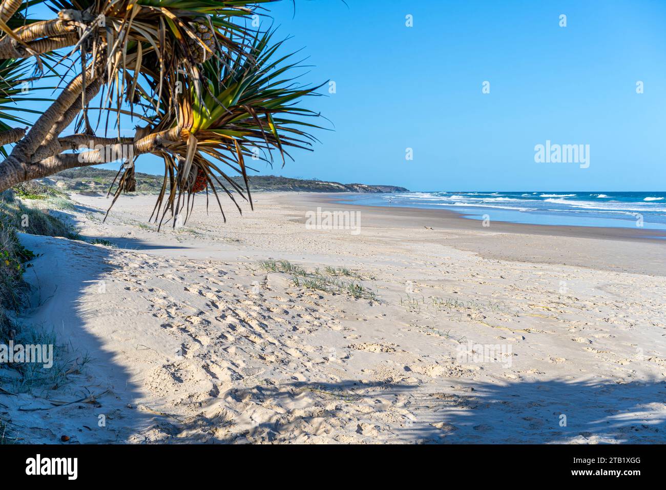Plumbago Beach, Red Cliff - Lake Arragan, Yuraygir National Park NSW ...