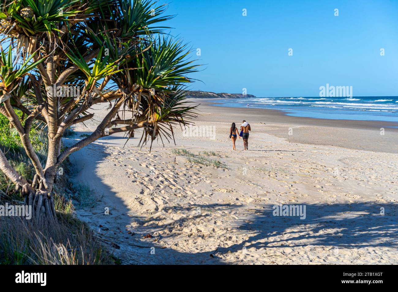 Plumbago Beach, Red Cliff - Lake Arragan, Yuraygir National Park NSW ...