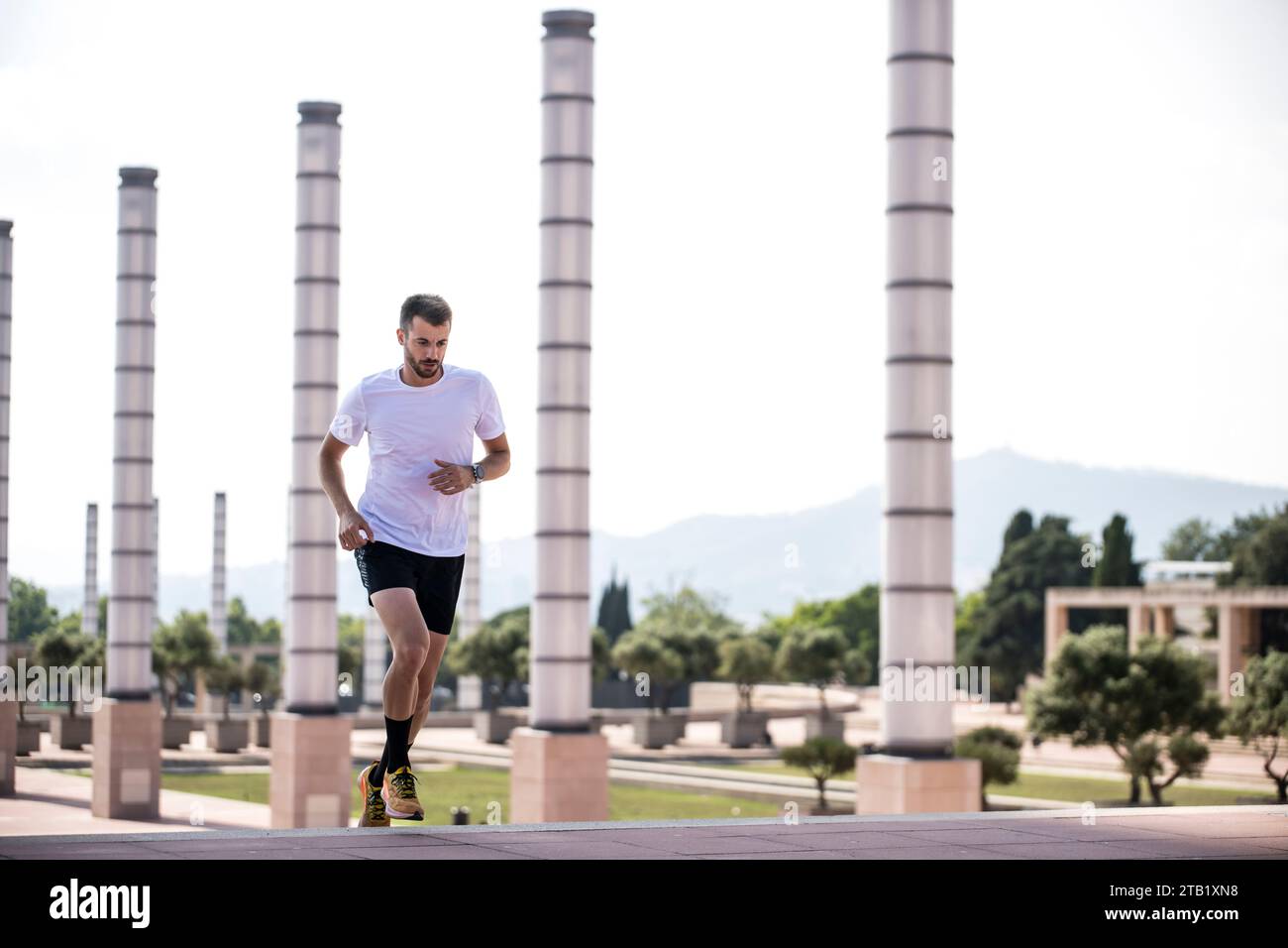 Competitive climbing training hi-res stock photography and images - Alamy
