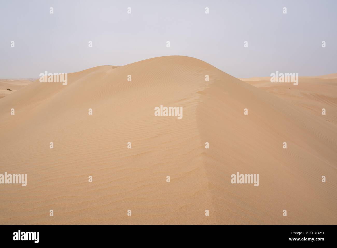 Al Qudra empty quarter seamless desert sahara in Dubai UAE middle east ...