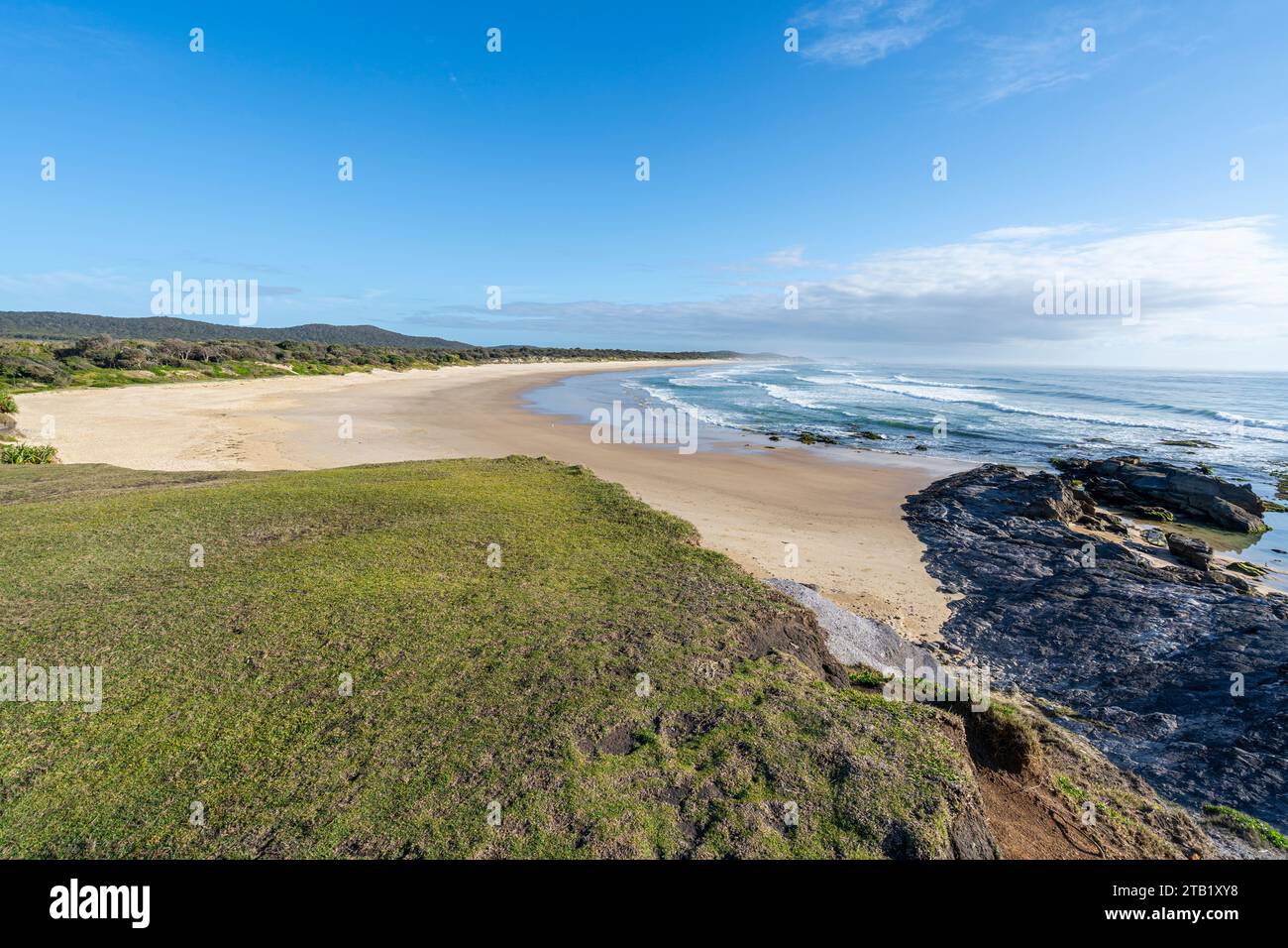 Plumbago beach hi-res stock photography and images - Alamy