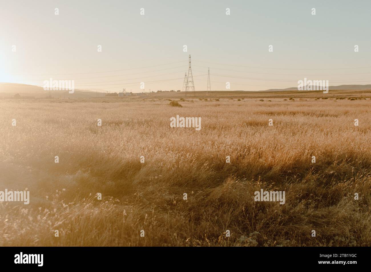Landscape of Lancaster poppy fields Stock Photo - Alamy