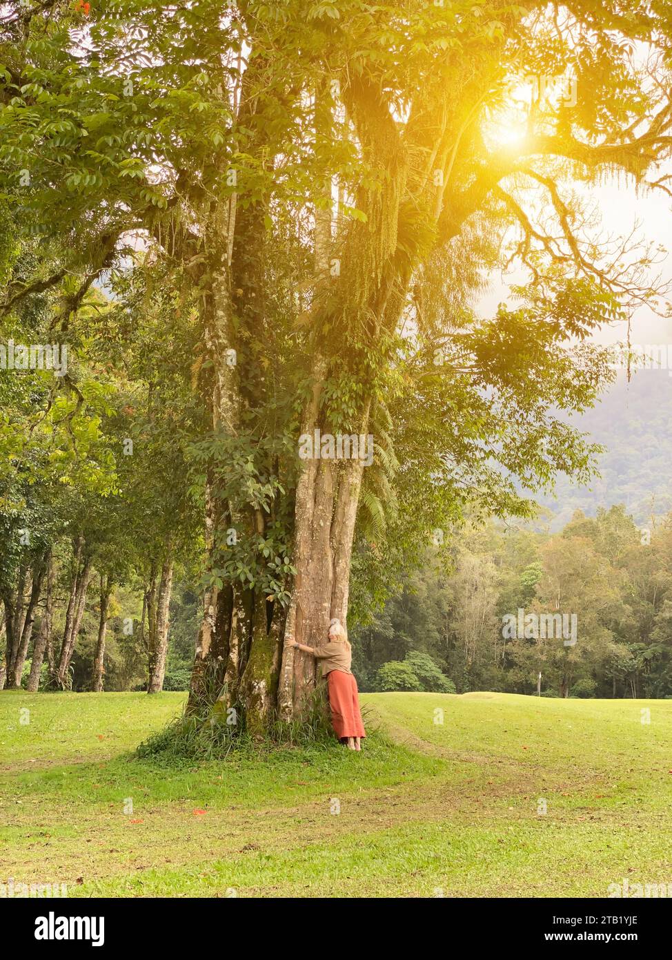 Handara bali hi-res stock photography and images - Alamy