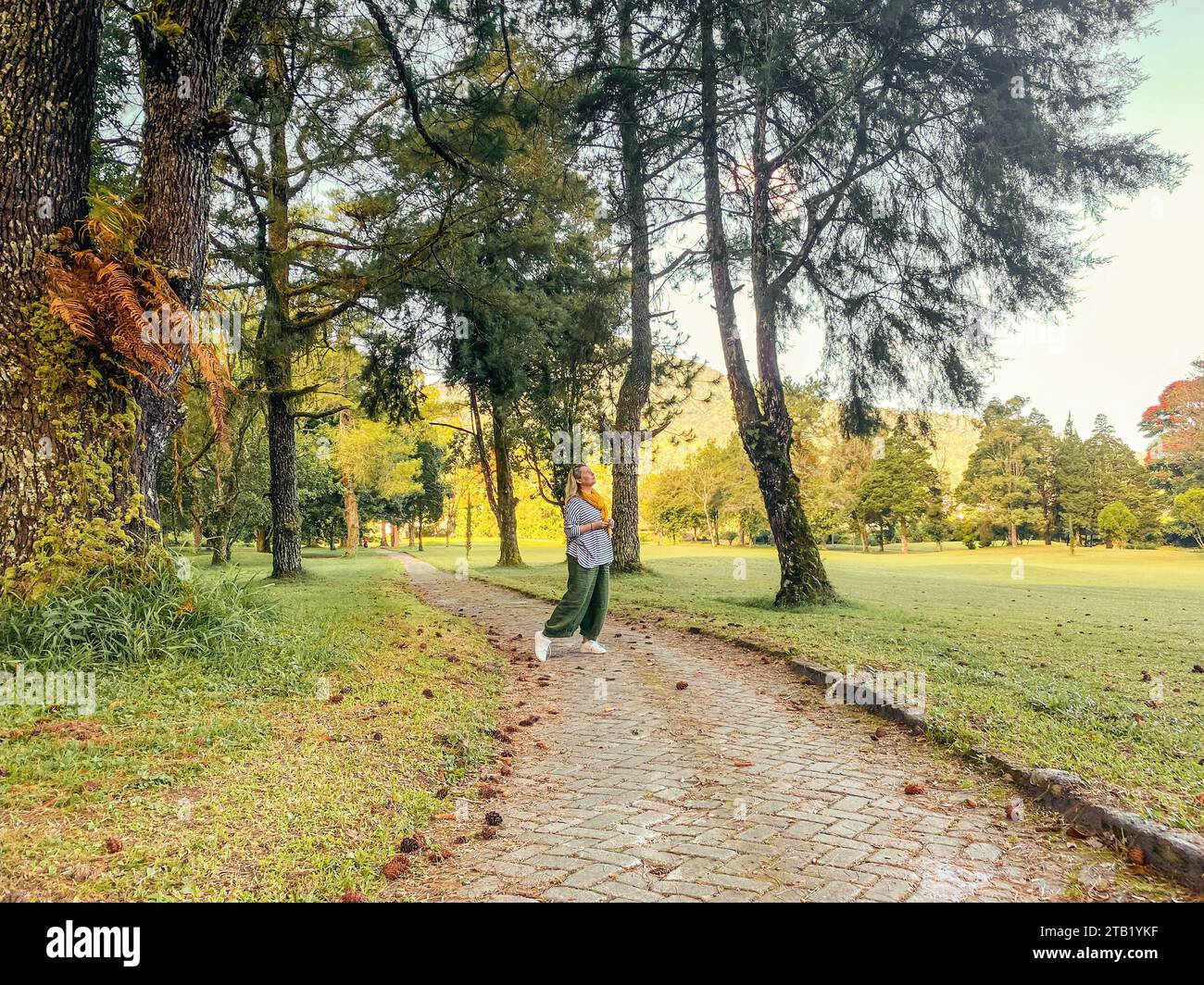 Woman walking and relaxing at beautyful green landscape of Handa Stock ...