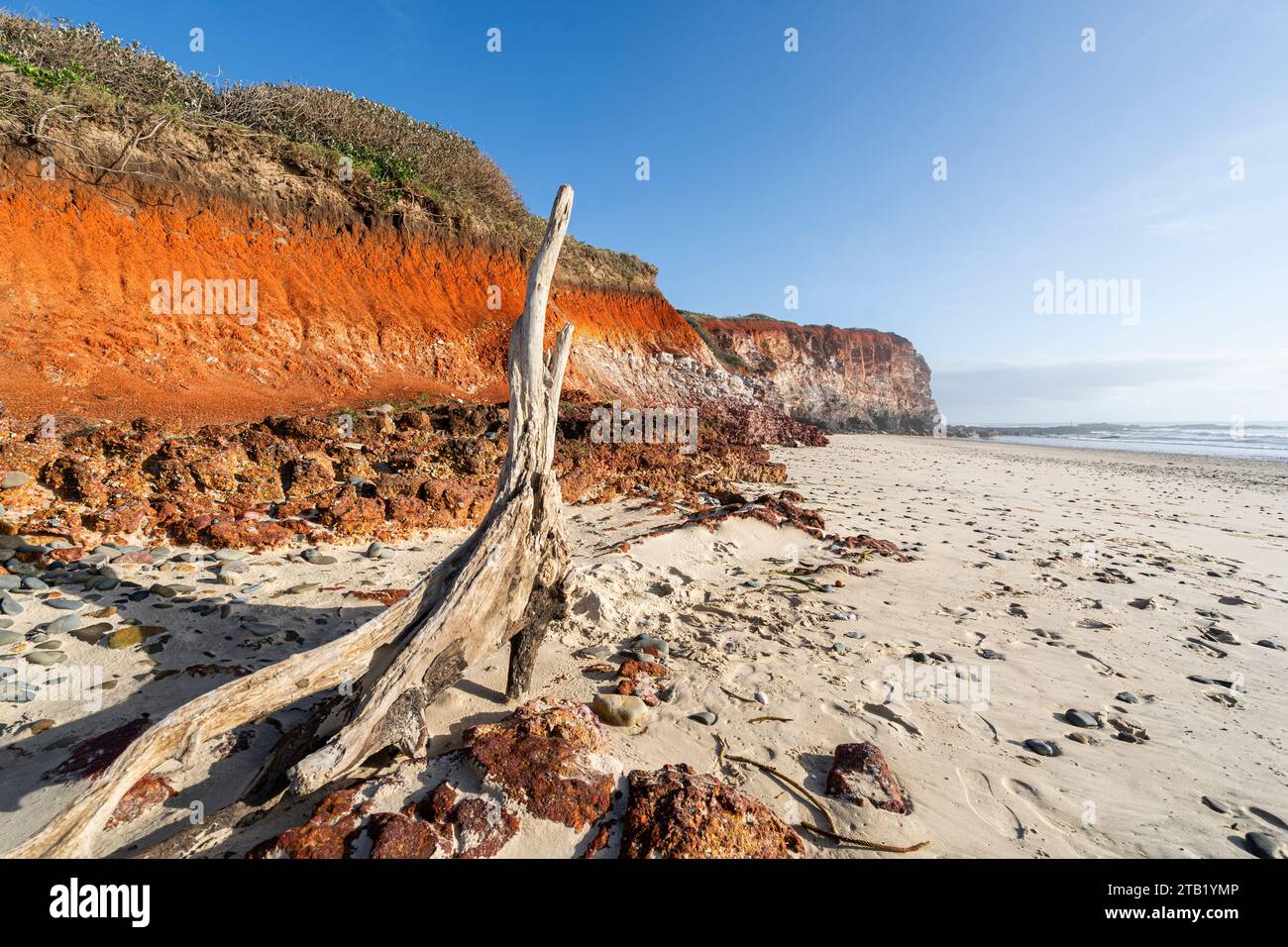 Plumbago beach hi-res stock photography and images - Alamy