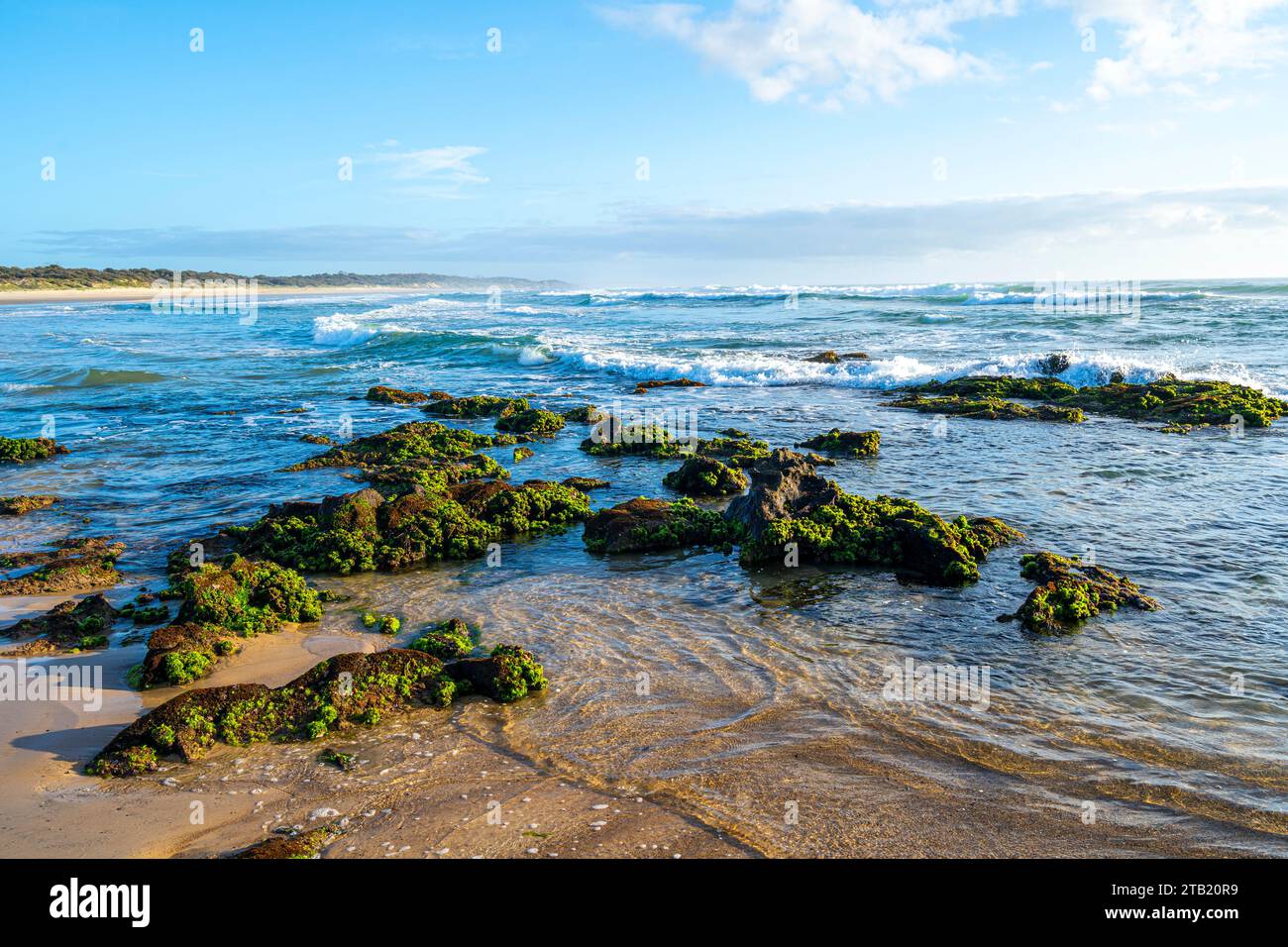 Algae cover rocks on Plumbago Beach, Red Cliff - Lake Arragan, Yuraygir ...