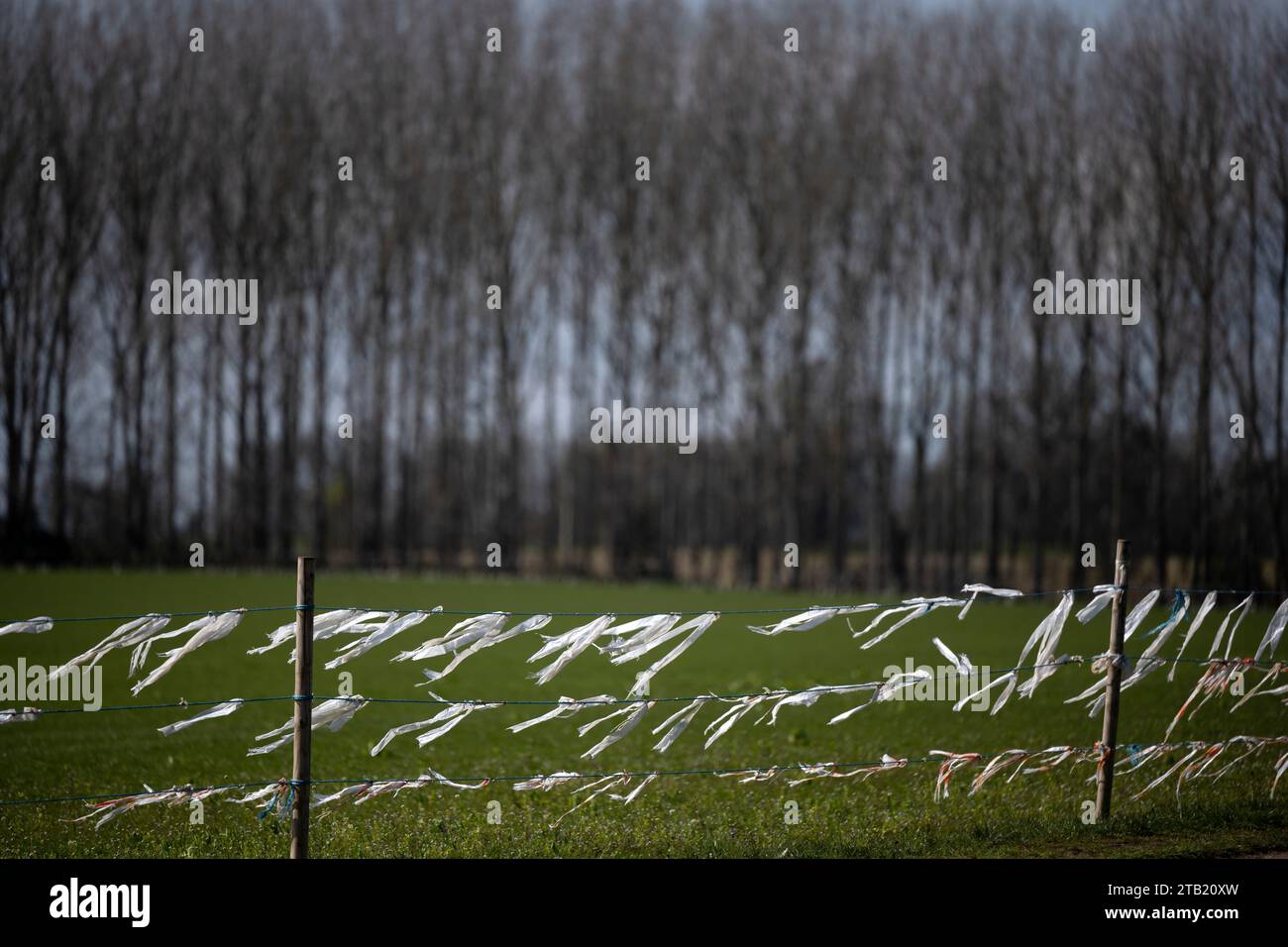 Crops protected from wild animals Stock Photo - Alamy