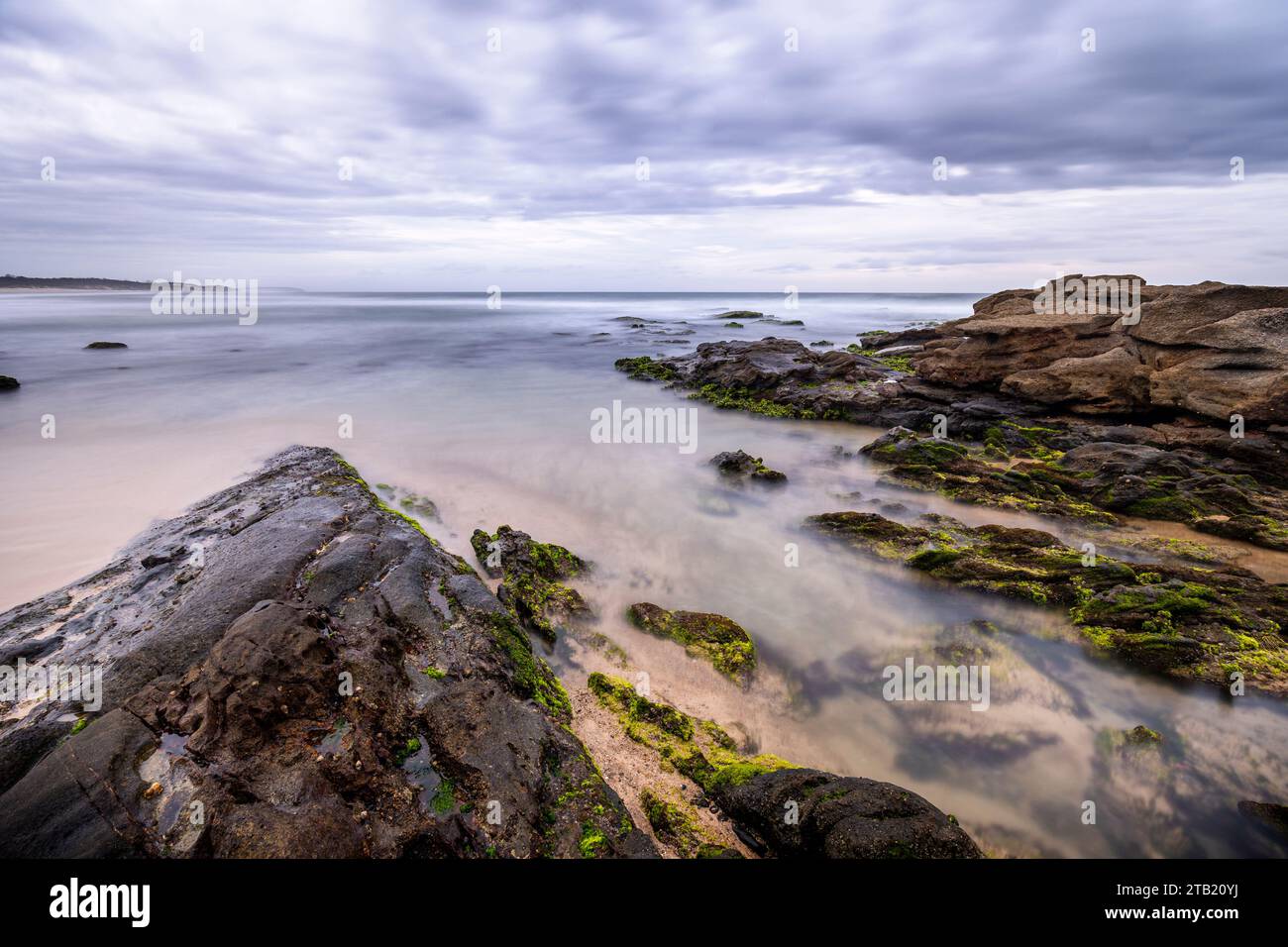 Algae cover rocks on Plumbago Beach, Red Cliff - Lake Arragan, Yuraygir ...