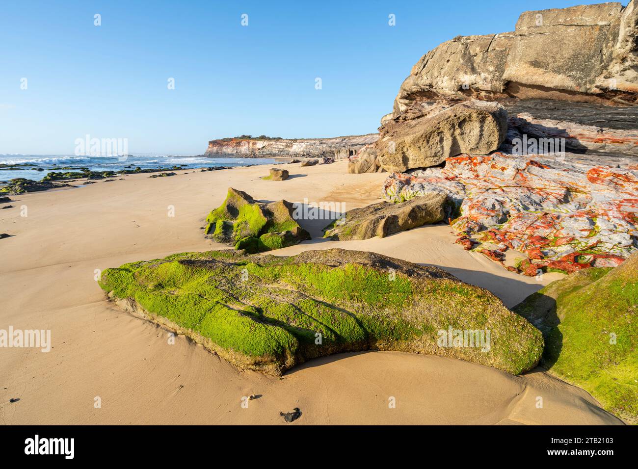 Red tide algae hi-res stock photography and images - Alamy